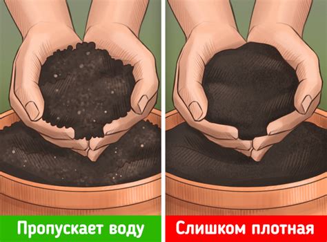 Как ухаживать за кактусами / Бери и делай