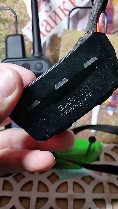 добавить ошейник на гармин альфа 300, т5,тт15,т20,т5mini#shorts # ...
