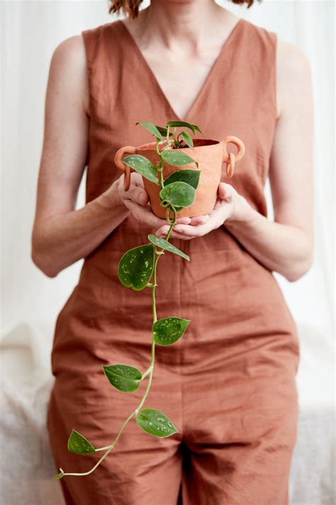 Plantopedia: History of House Plants
