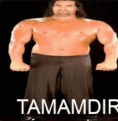 TAMAMDIR : r/DiyarOfZina