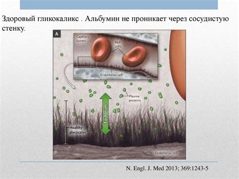 Основы инфузионной терапии - презентация онлайн
