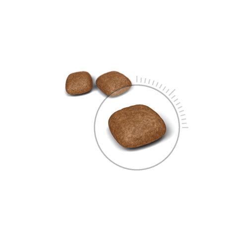 Urinary S/O Moderate Calorie | Royal Canin PT