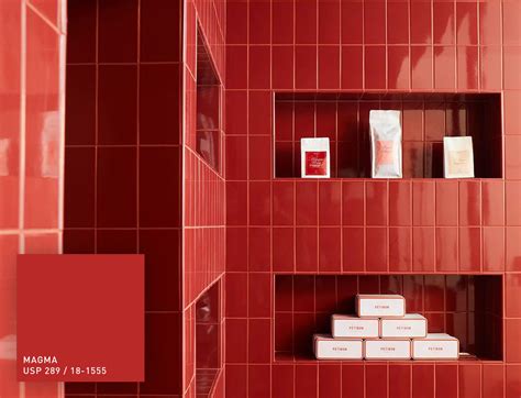 LIFESTYLE: PETIBON PARIS x UCHRIONIA WORLD | USP Edit