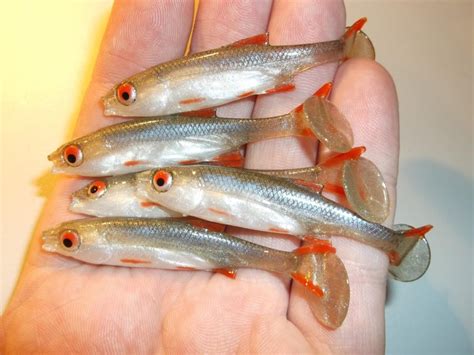 Интересни силиконови примамки - Fishing Mania Форум
