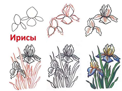 Как рисовать цветы - презентация онлайн