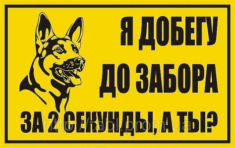осторожно злая собака - Поиск в Google | Humor, Funny, Lol