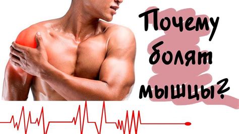 Почему болят мышцы после тренировок - Бодибилдинг и фитнес для мужчин и ...