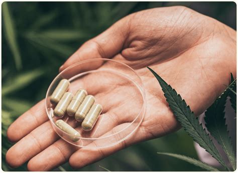 Flash Capsule 30’s - Healing Through Ayurveda