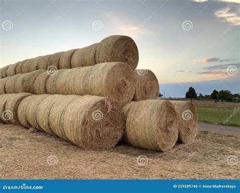 Round Stacks of Hay Stacked Imperfectly in an Open Field in a Pyramid Against a Gray Sunset Sky ...