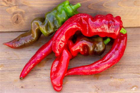 СВИНАЯ КИШКА Pork Pig Intestines Pepper — BTomate