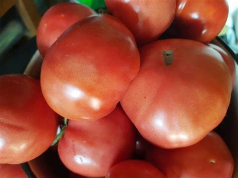 3 сорта томатов, которые называют «томатным мясом»: познакомьтесь ...