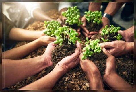 Soil Conservation: Threats, Benefits and Methods - AAAK