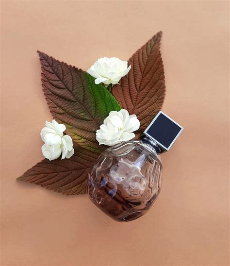 Jimmy Choo Jimmy Choo perfumy - to perfumy dla kobiet 2011