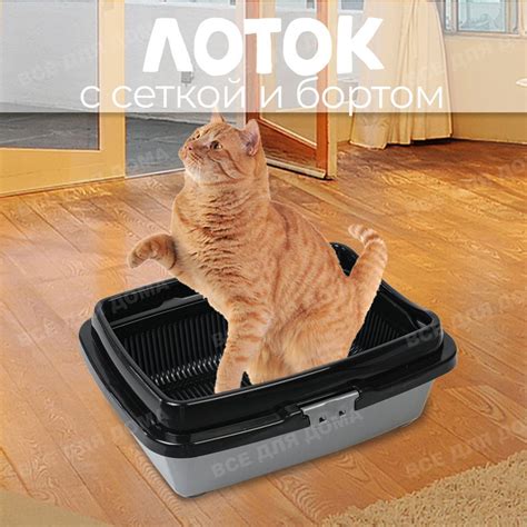 ВСЕ ДЛЯ ДОМА / Лоток для котят с бортами и сеткой . Кошачий туалет со ...