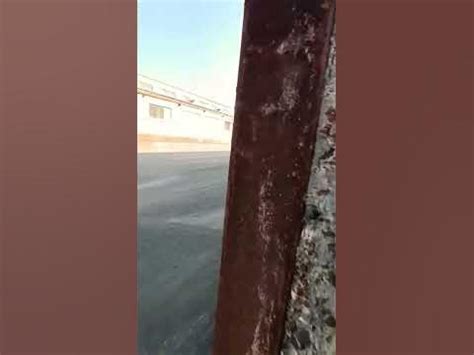 КУПИЛ НА ВАЛБЕРИС ТРЭШ #ЗВОНОК #валберис #wallberis #купил #треш #видео ...