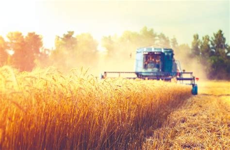 Kazakhstan exports soar on near-record production | Miller Magazine