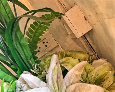 【Ultra Adept Coffee Roasters】One of the best cafes in Lat Burana ...