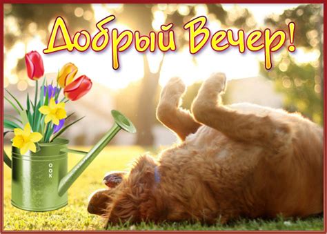 Открытка доброго и тихого вечера