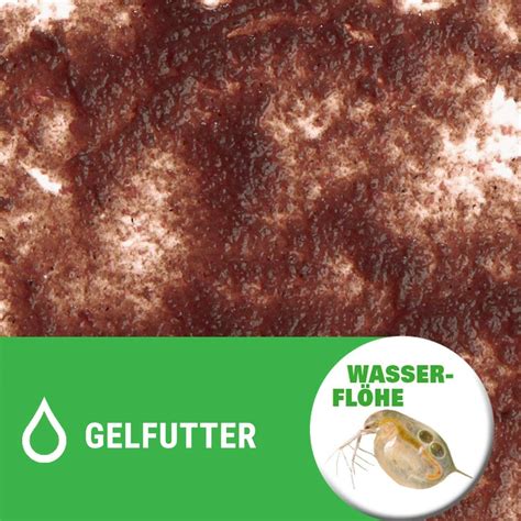 Tetra FreshDelica Daphnien, 48 g - Zoolini
