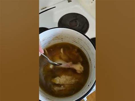 домашняя курочка - YouTube
