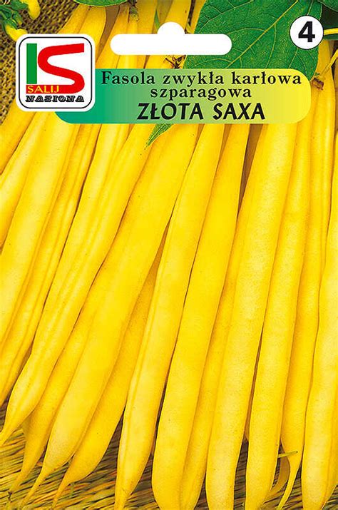 Fasola Złota Saxa 40g - Salnas - Hurtownia nasion