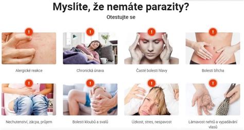 Wortex – recenze, diskuze, názory, lékárna – kde to koupit a jaká je cena?