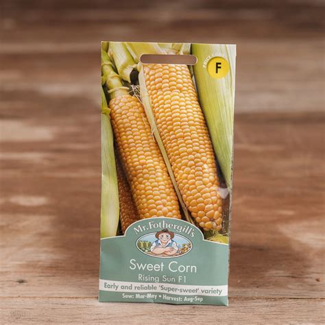 Sweet Corn Rising Sun F1 - Creative Gardens