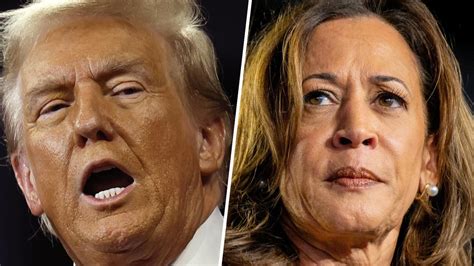 Harris 'has to nail in' a 'bread and butter campaign' around economic ...