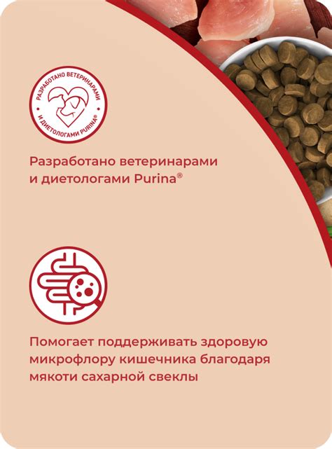 Официальный сайт Purina ONE® для собак: корма, советы о питании, уходе ...
