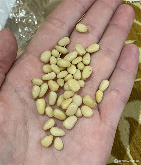Орехи ООО "Сибирский продукт" Алтайский кедровый орех - «Хорошее ...
