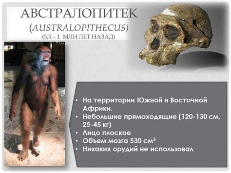 Происхождение человека. 9 класс - презентация онлайн