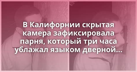 В Калифорнии скрытая камера зафиксировала парня, который три часа ...