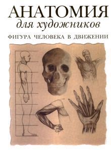 Книга: "Анатомия для художников. Фигура человека в движении" - Том ...
