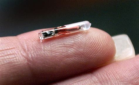 Rfid Chip