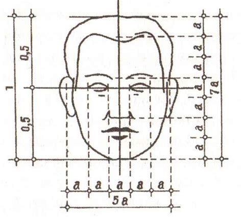 конструкция обобщенной головы - Поиск в Google | Dibujos, Caracteres ...