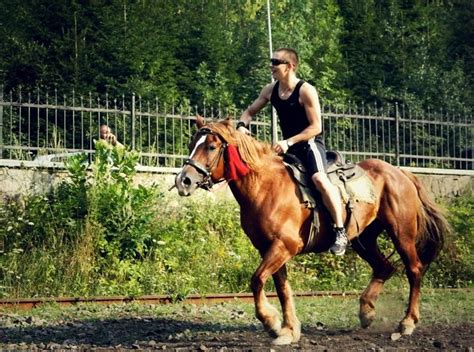 Поездка в Карпаты, Украина. | Horses, Animals