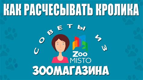 Как правильно расчесывать кролика | Как выбрать расческу для кролика ...