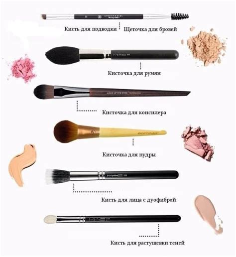 Какие кисти для макияжа для чего правильно использовать 4 | Top makeup ...