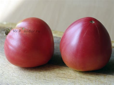 Семена томатов Dwarf Pink Passion (Гном Розовая страсть) - Сортовые ...