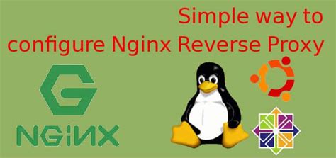 Simple guide on How to setup Nginx Reverse Proxy - LinuxTechLab