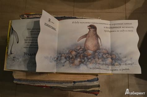 Книга: Кто спрятался? - . Купить книгу, читать рецензии | Лабиринт