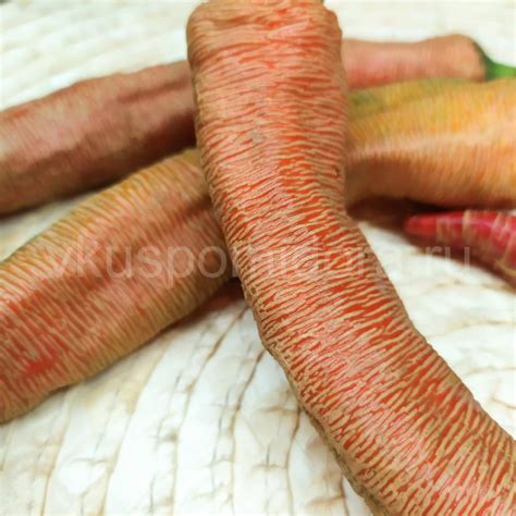 Купить семена перца острого сорта Слоновий (Elephant pepper)