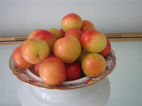 Apriums