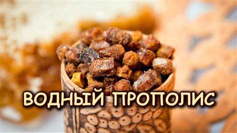 ВОДНЫЙ ПРОПОЛИС - ДЛЯ УКРЕПЛЕНИЯ ОРГАНИЗМА И ПРОДЛЕНИЯ МОЛОДОСТИ - YouTube