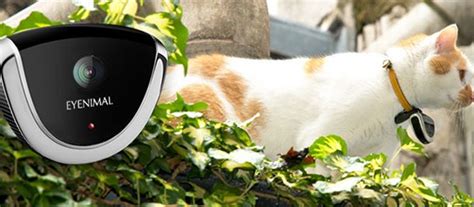 EYENIMAL lets your pet be your videographer