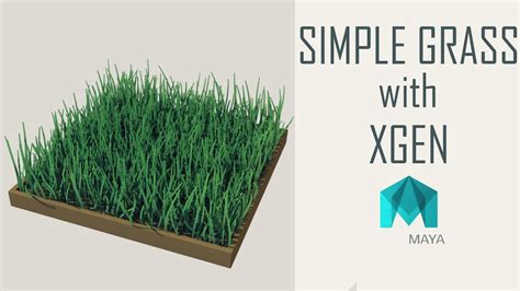 Maya Simple Xgen Grass ~ 3D Tutorial - YouTube