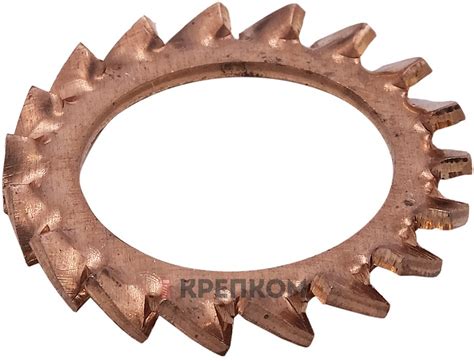 Шайба стопорная с зубьями DIN 6798A, бронза (Silicon bronze) — купить в ...