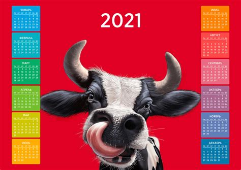 Смешной календарь 2021 с быком — calendar12.ru