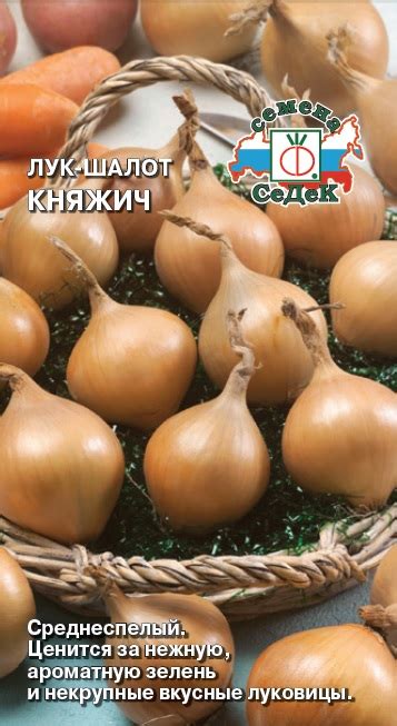 Лук Княжич (шалот) оптом и в розницу - купить с доставкой почтой по ...