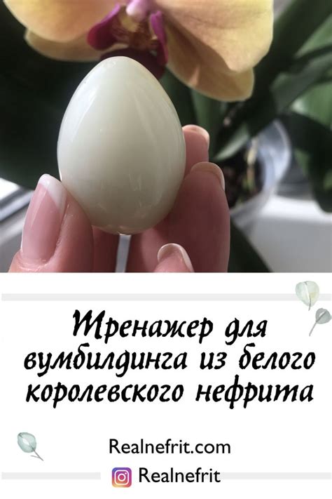 Яйцо для вумбилдинга | Яйца, Фитнес, Минерал